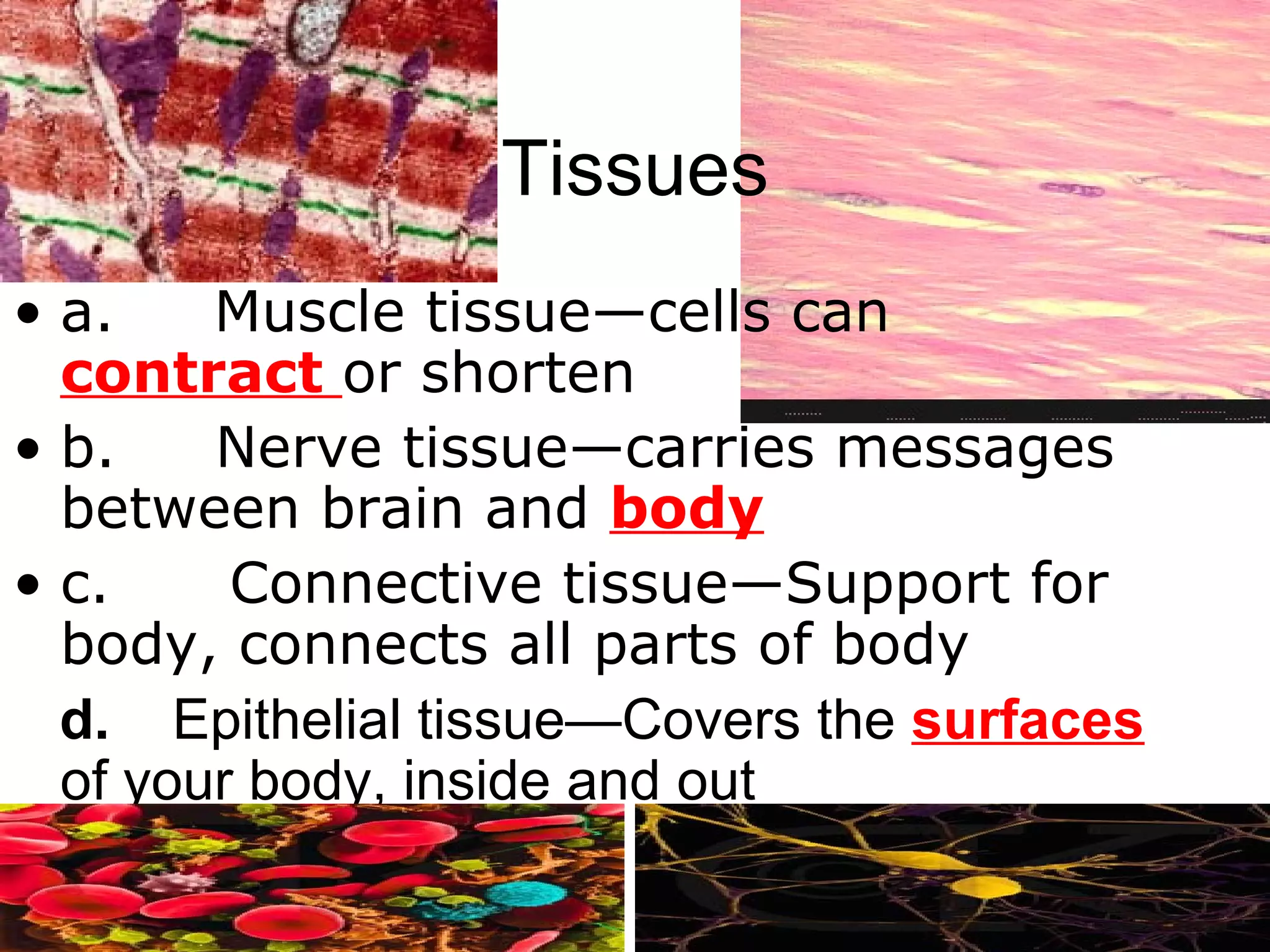 Life Science.Part2.Looking Inside Cells | PPT