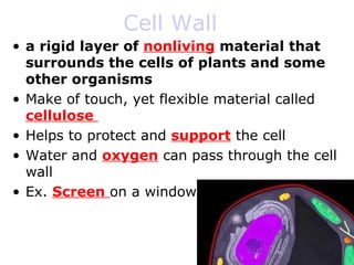 Life Science.Part2.Looking Inside Cells | PPT