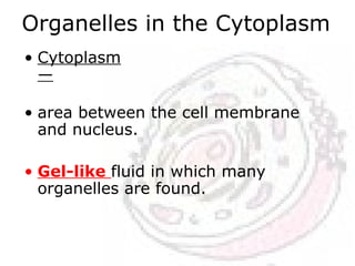Life Science.Part2.Looking Inside Cells | PPT
