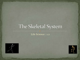 Life Science 1.2 : The Skeletal System | PPTX