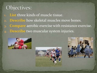 Life Science 1.3 : The Muscular System | PPTX