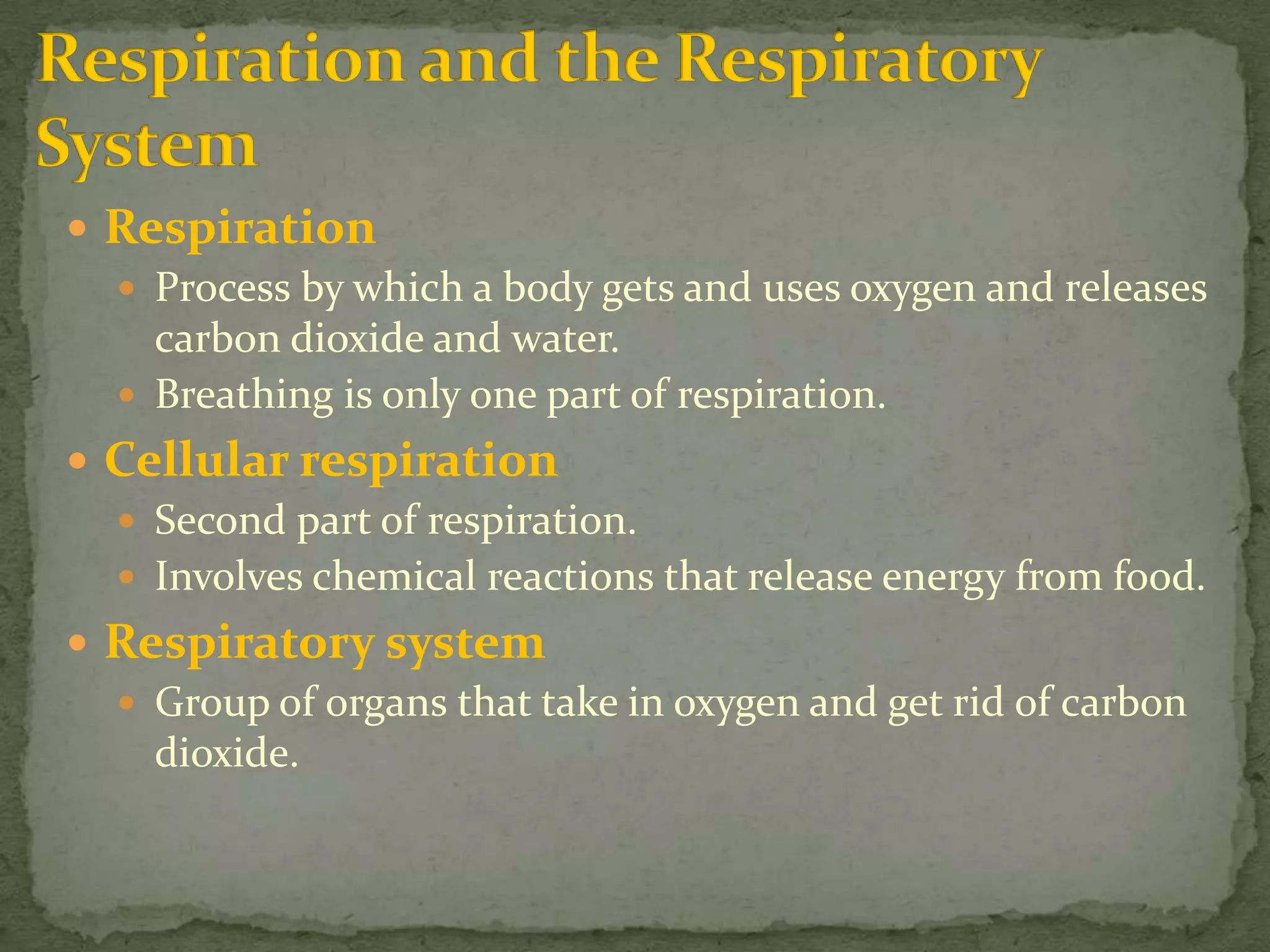 Life Science 2.4 : The Respiratory System | PPTX
