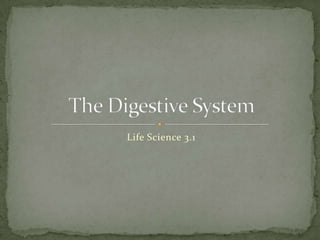 Life Science 3.1 : The Digestive System | PPTX