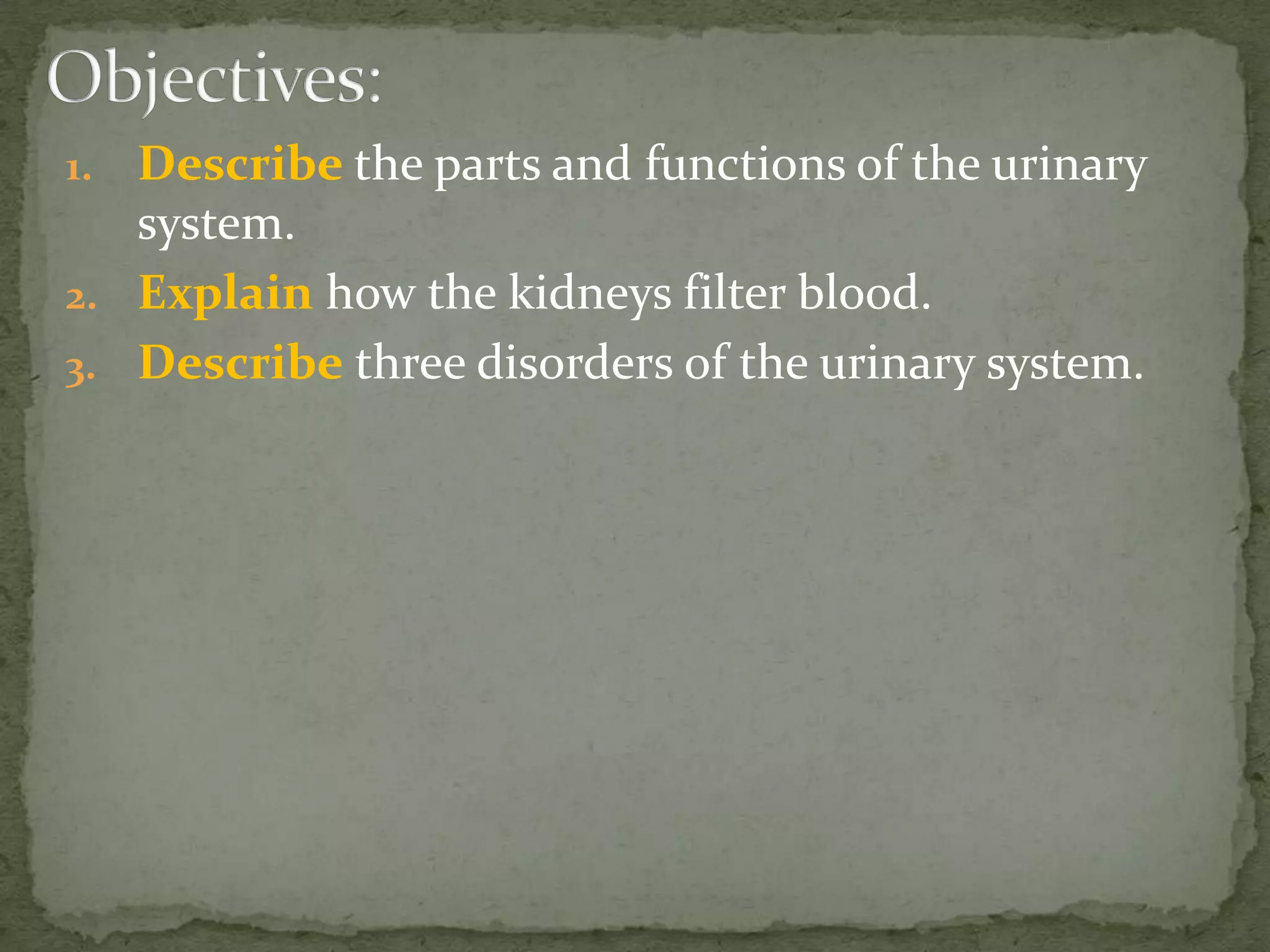 Life Science 3.2 : The Urinary System | PPTX