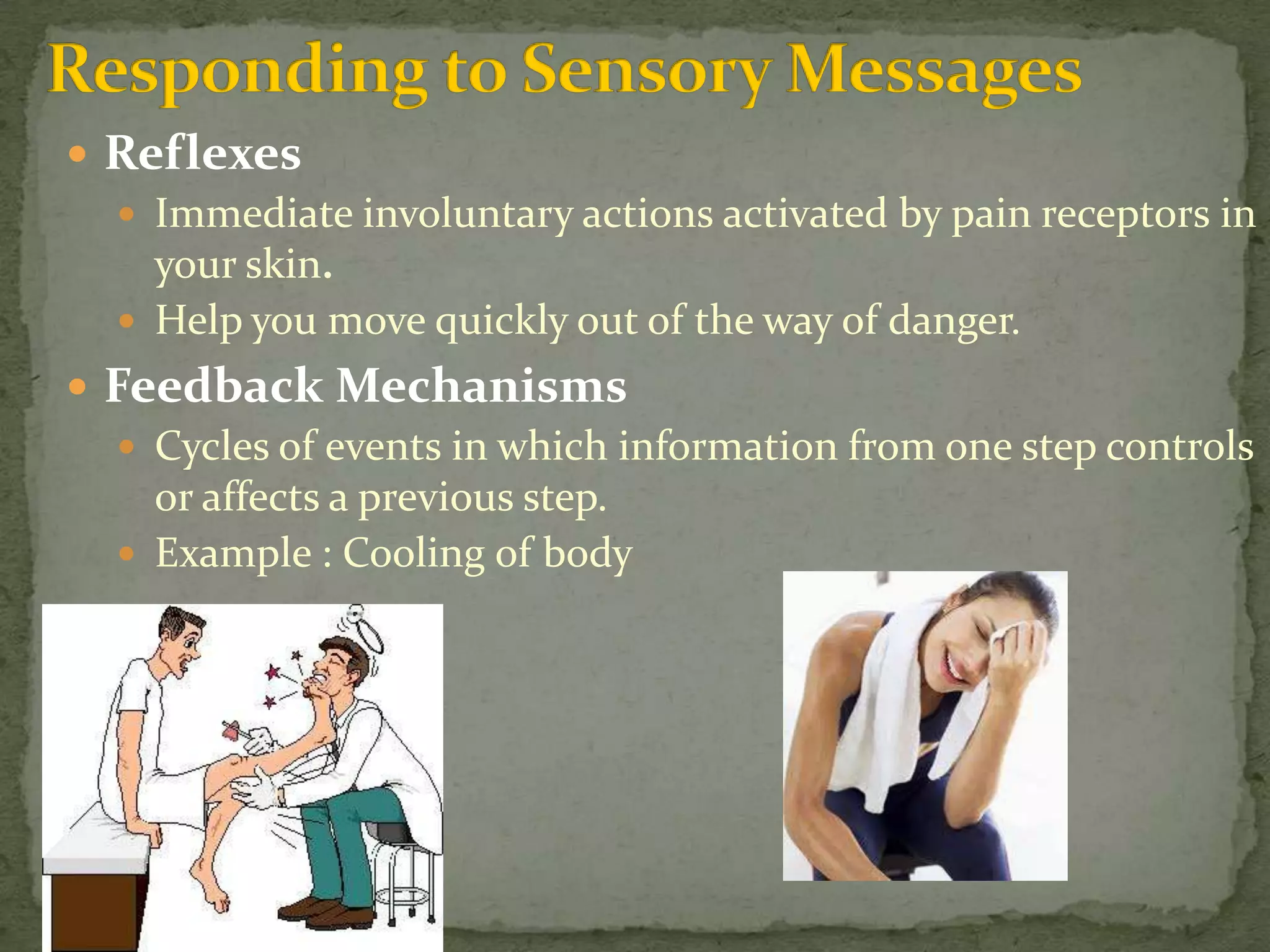 Life Science 4.2 : Responding to the Environment | PPTX
