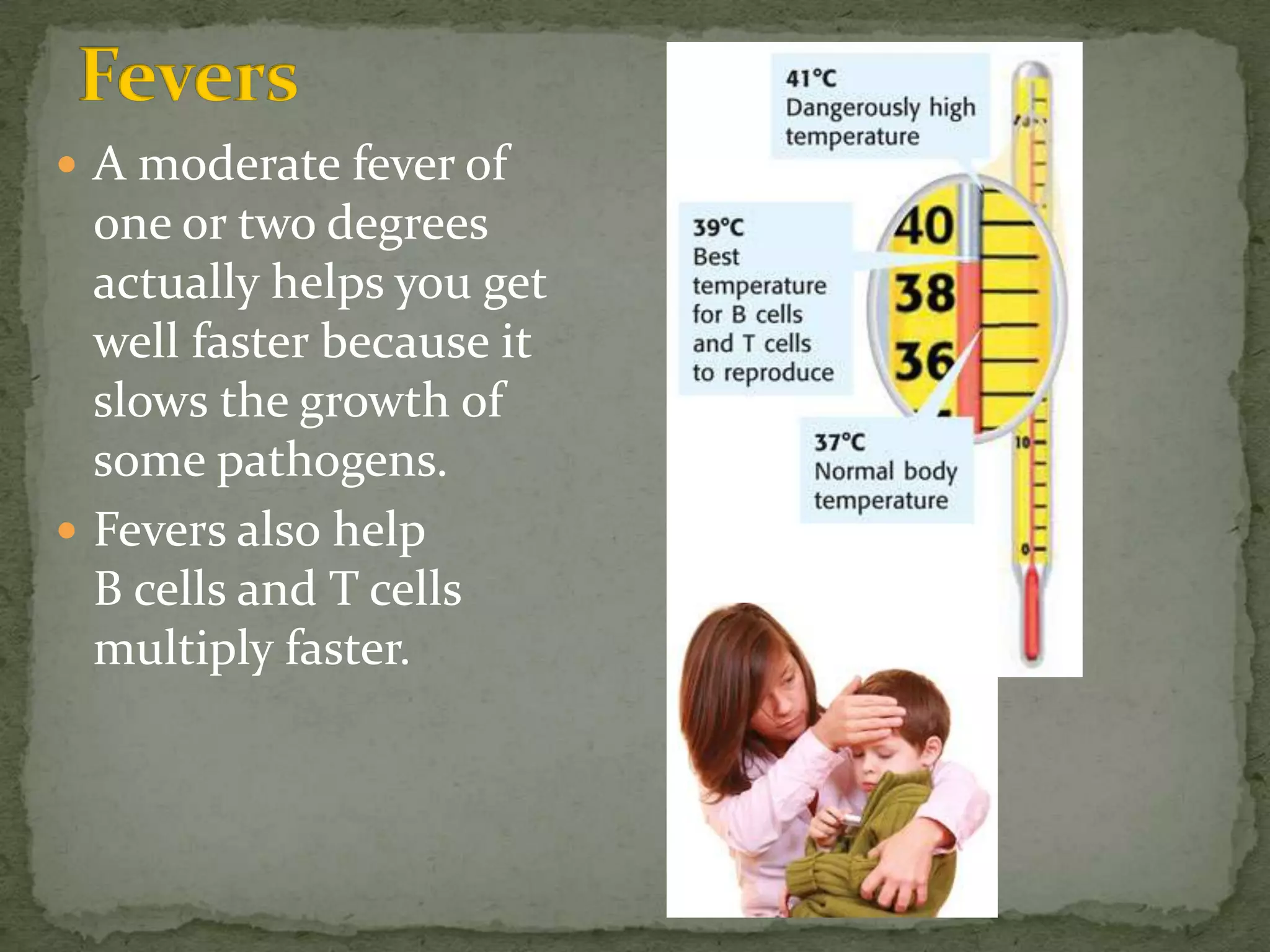 Life Science 6.2 : Your Body Defenses | PPTX