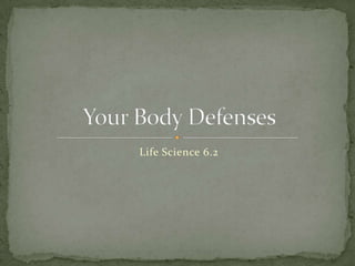 Life Science 6.2 : Your Body Defenses | PPTX
