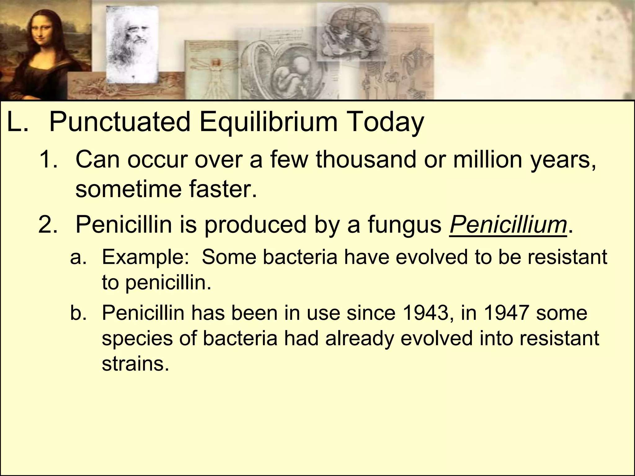 Chapter 6 Section 1: Ideas About Evolution | PPTX | Genetics | Science