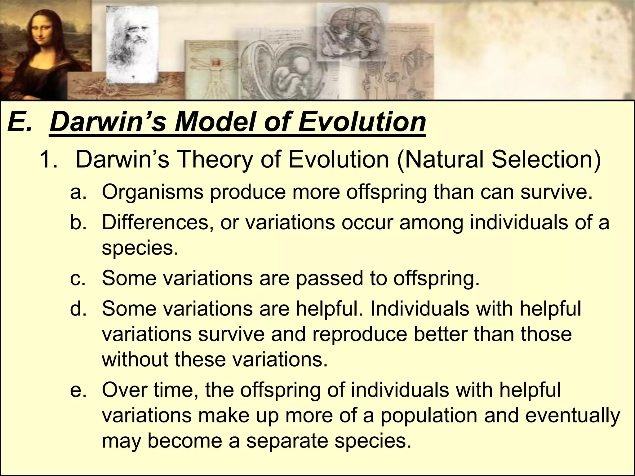 Chapter 6 Section 1: Ideas About Evolution | PPTX | Genetics | Science