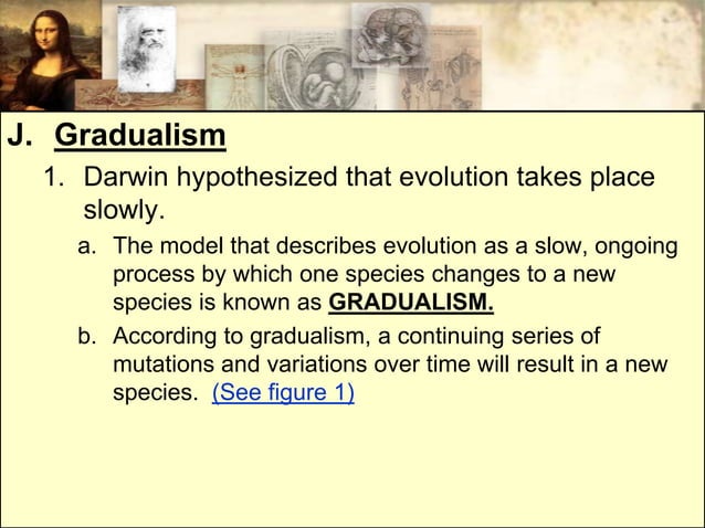 Chapter 6 Section 1: Ideas About Evolution | PPTX | Genetics | Science