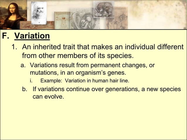 Chapter 6 Section 1: Ideas About Evolution | PPTX | Genetics | Science