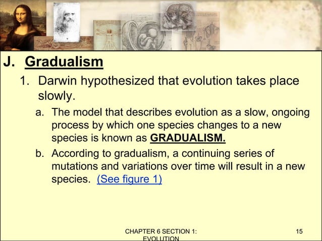 Life science chapter 6 section 1 notes | PPTX | Biological Sciences ...
