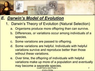 Life science chapter 6 section 1 notes | PPTX | Biological Sciences ...