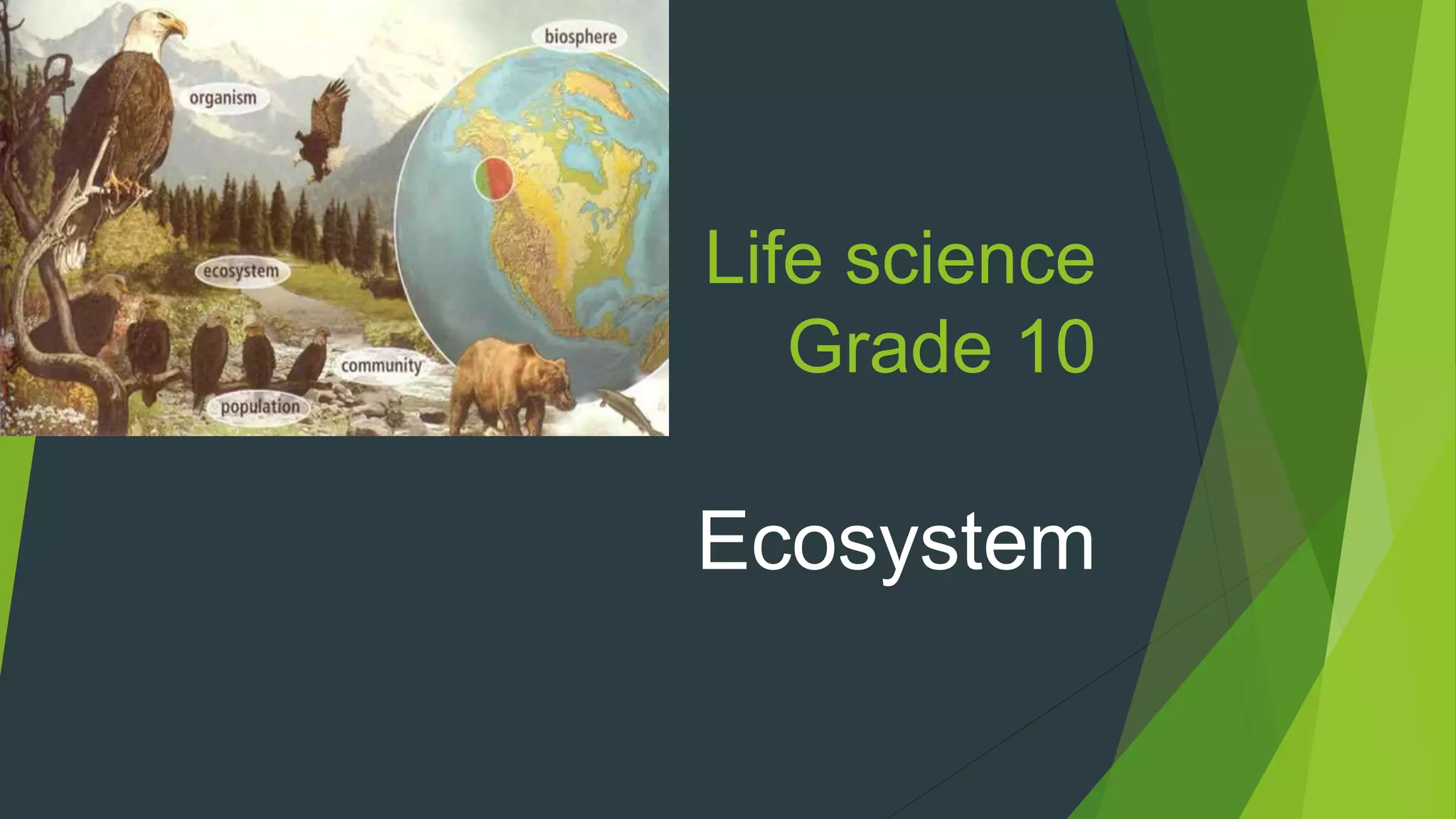 Life science ecosystem. grade 10 | PPTX