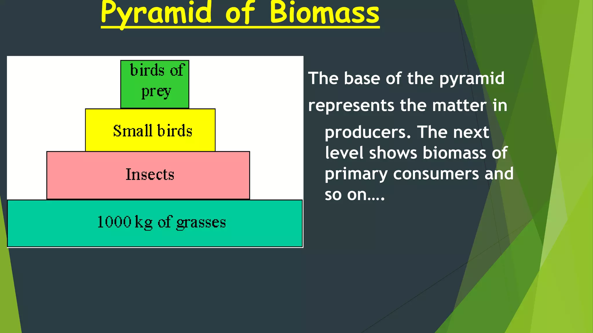 Life science ecosystem. grade 10 | PPTX