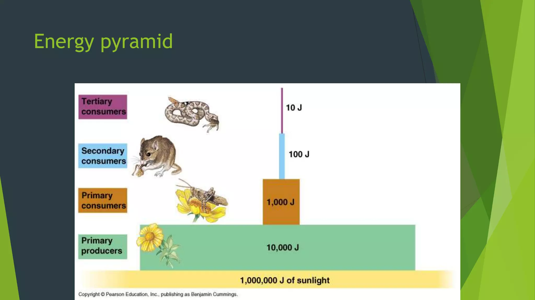 Life science ecosystem. grade 10 | PPTX