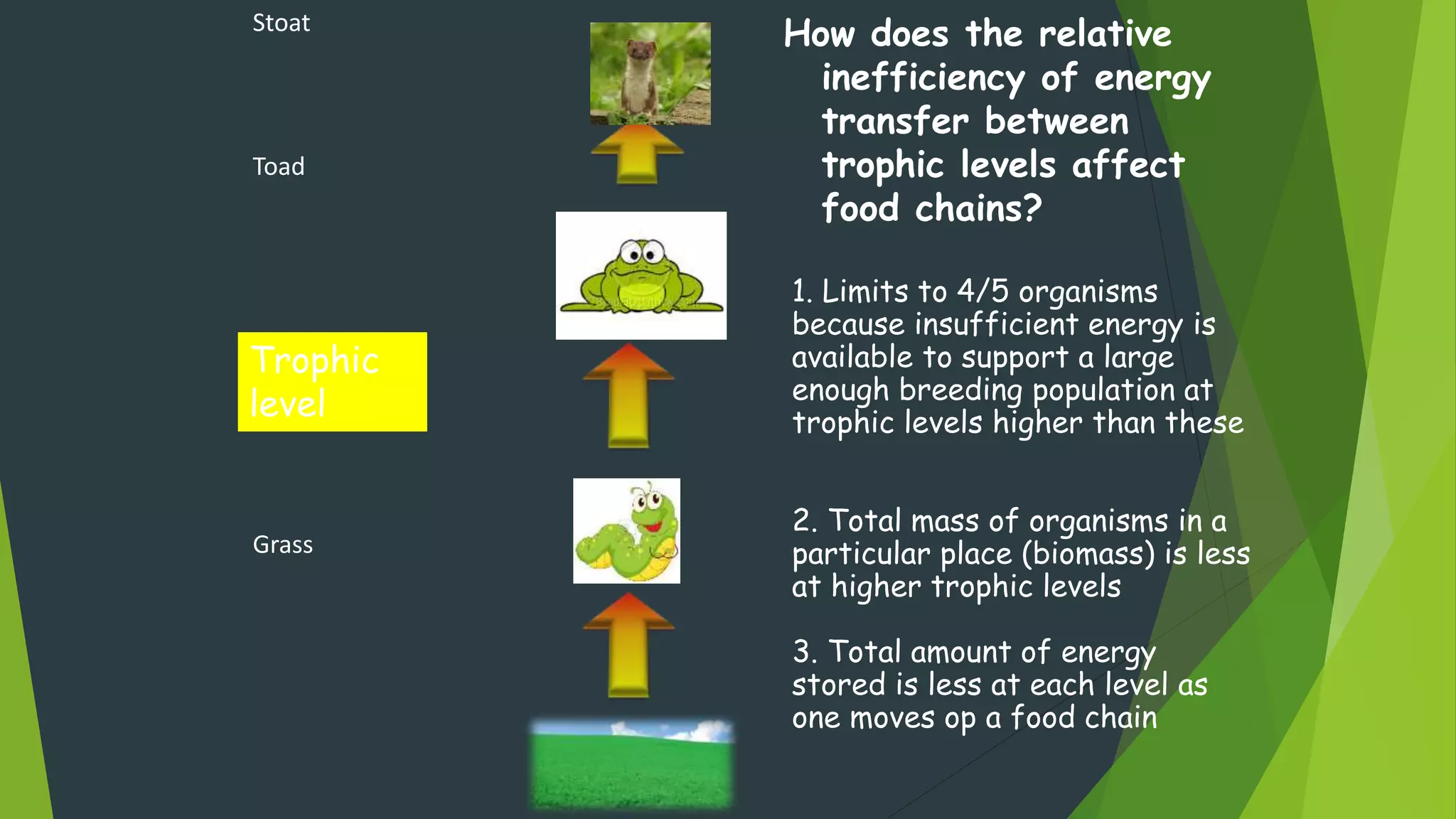 Life science ecosystem. grade 10 | PPTX