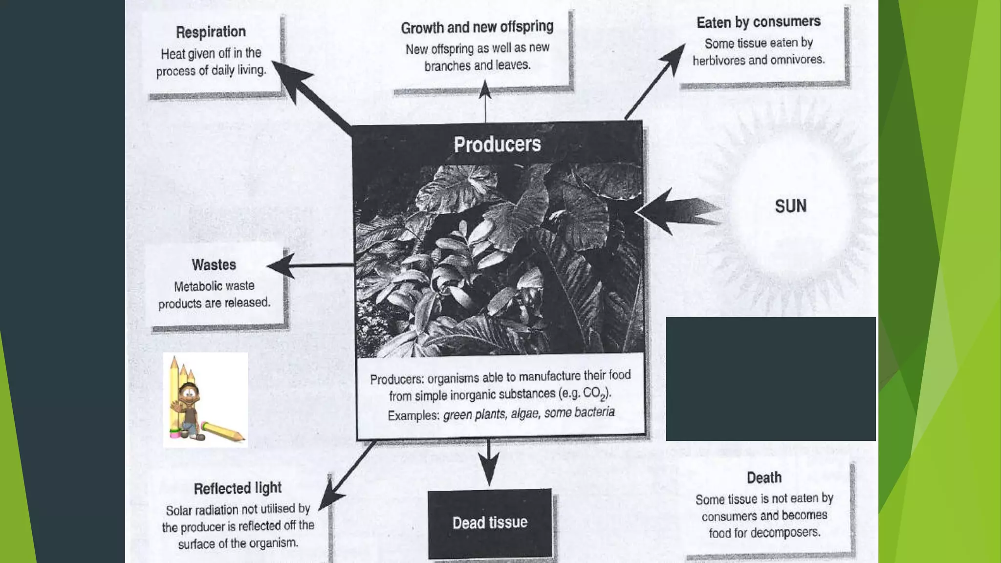 Life science ecosystem. grade 10 | PPTX