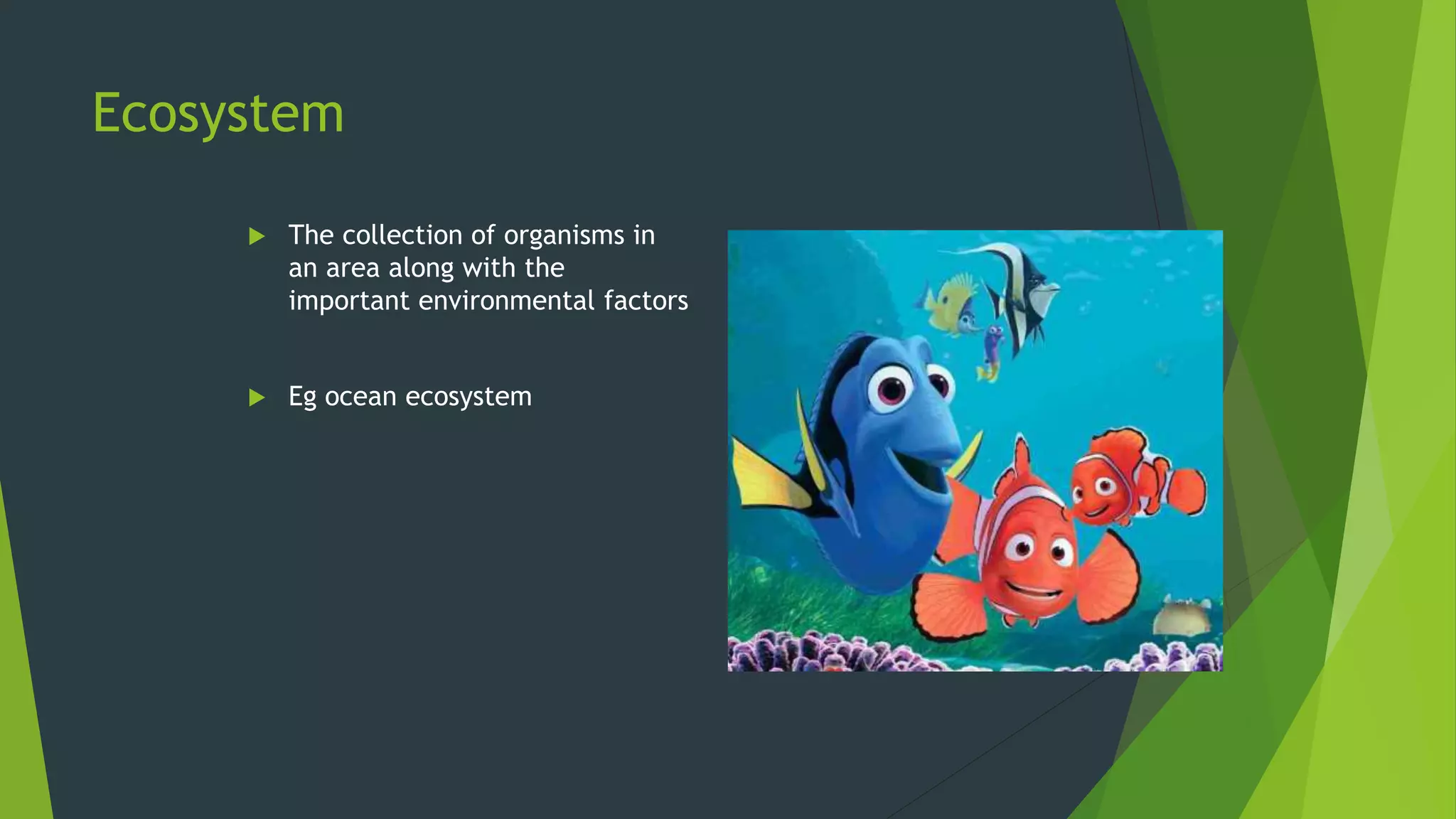 Life science ecosystem. grade 10 | PPTX