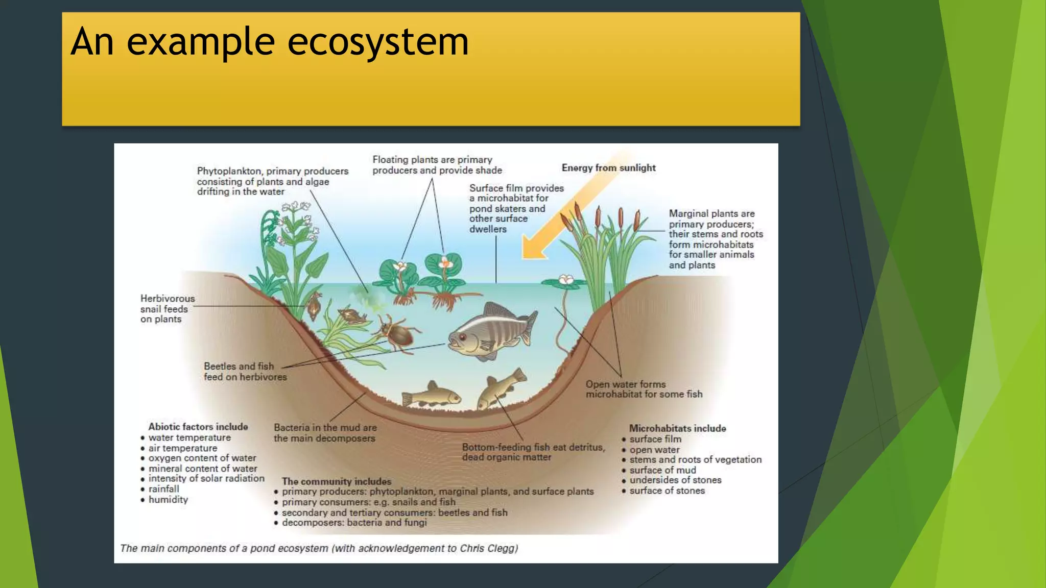 Life science ecosystem. grade 10 | PPTX