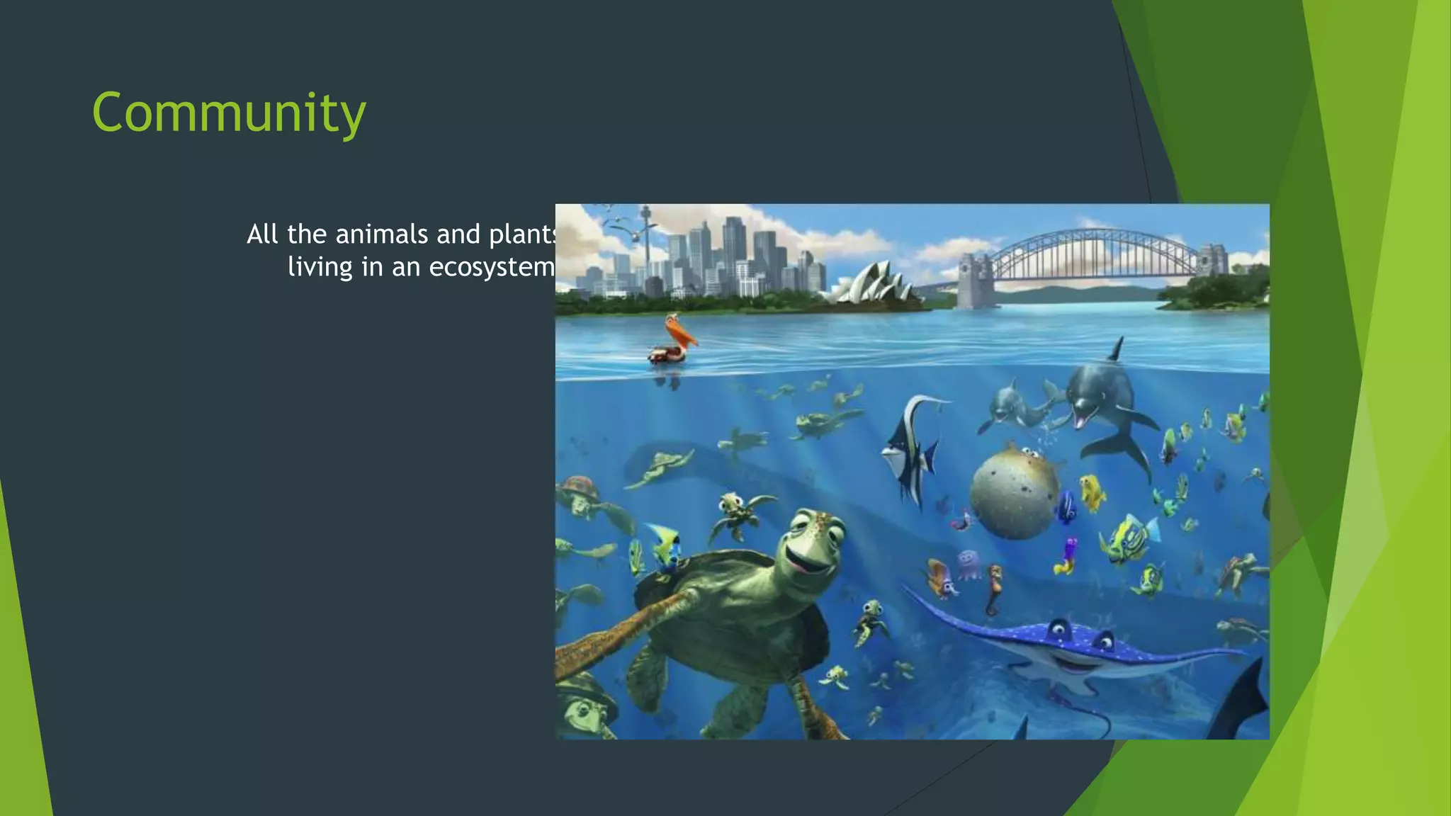 Life science ecosystem. grade 10 | PPTX