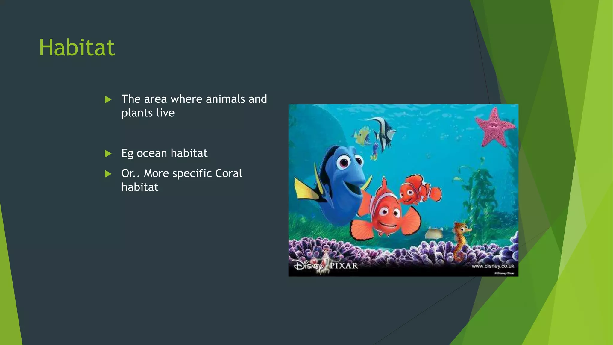 Life science ecosystem. grade 10 | PPTX