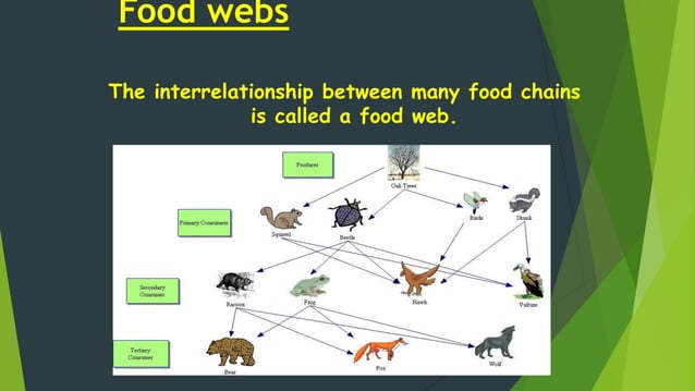 Life science ecosystem. grade 10 | PPTX