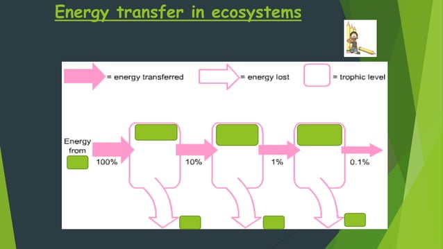 Life science ecosystem. grade 10 | PPTX