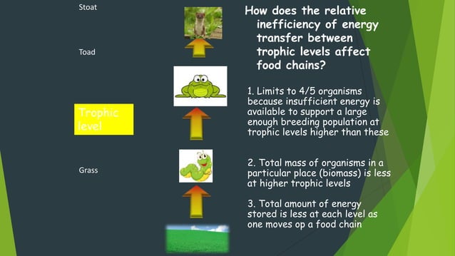 Life science ecosystem. grade 10 | PPTX