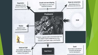 Life science ecosystem. grade 10 | PPTX