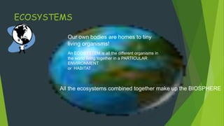 Life science ecosystem. grade 10 | PPTX