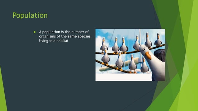 Life science ecosystem. grade 10 | PPTX