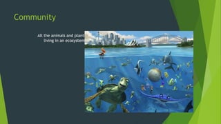 Life science ecosystem. grade 10 | PPTX