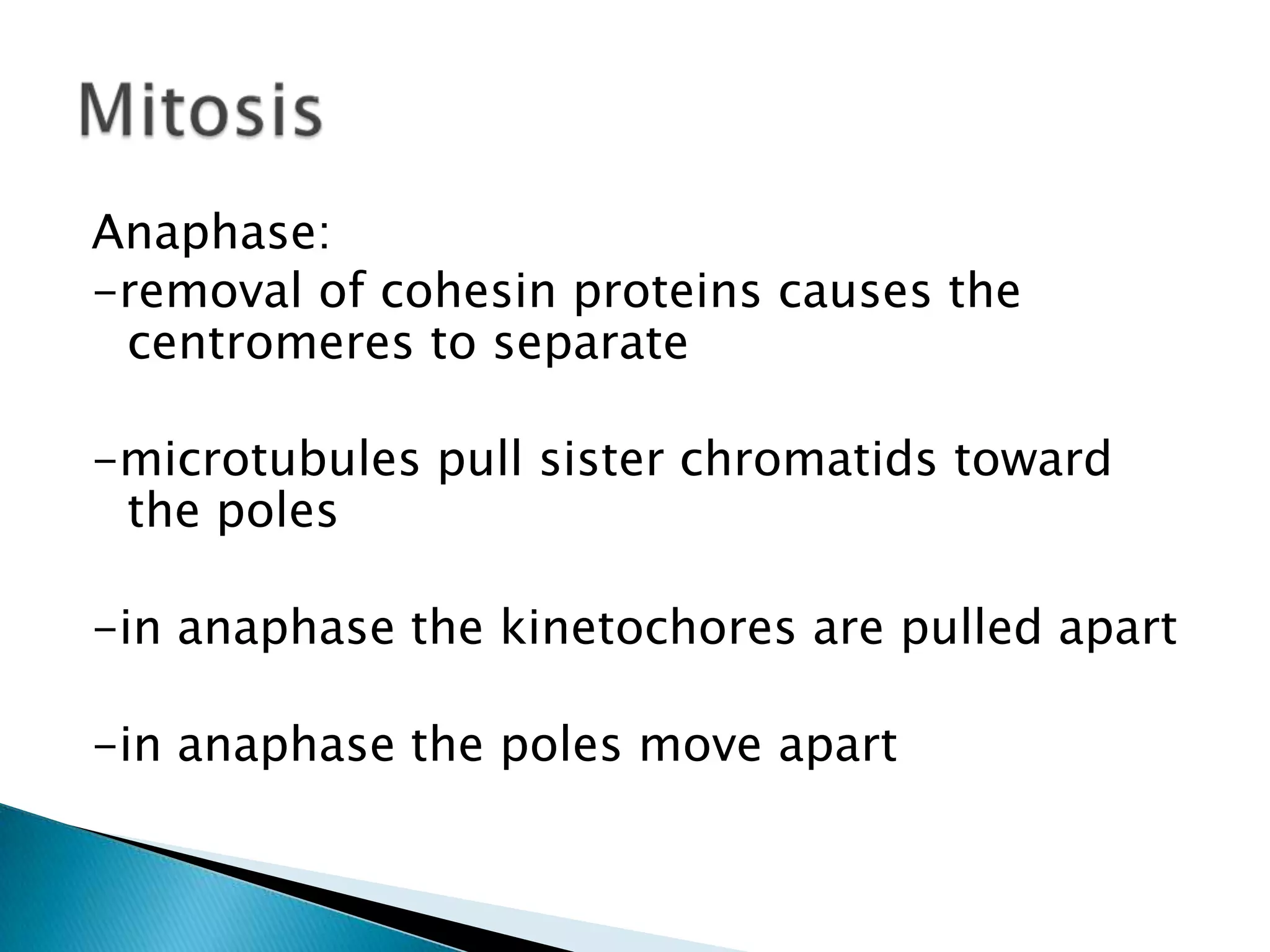 Life science grade 10 | PPTX