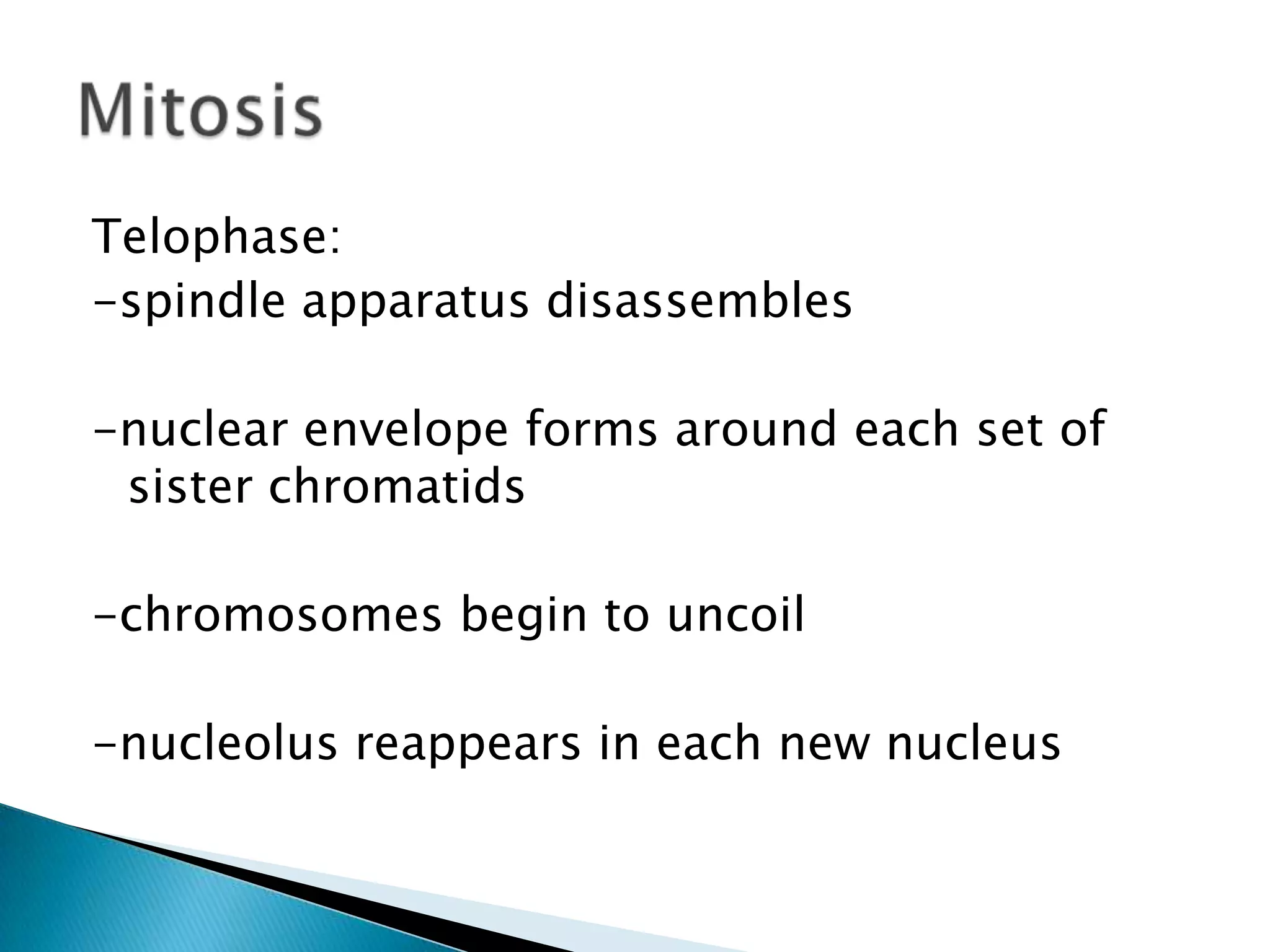 Life science grade 10 | PPTX