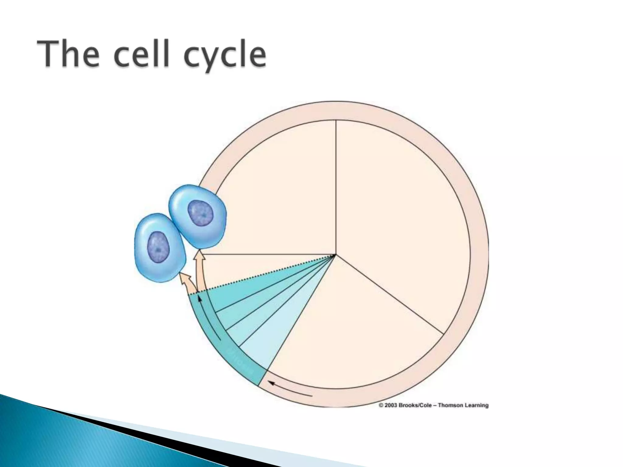 Life science grade 10 | PPTX