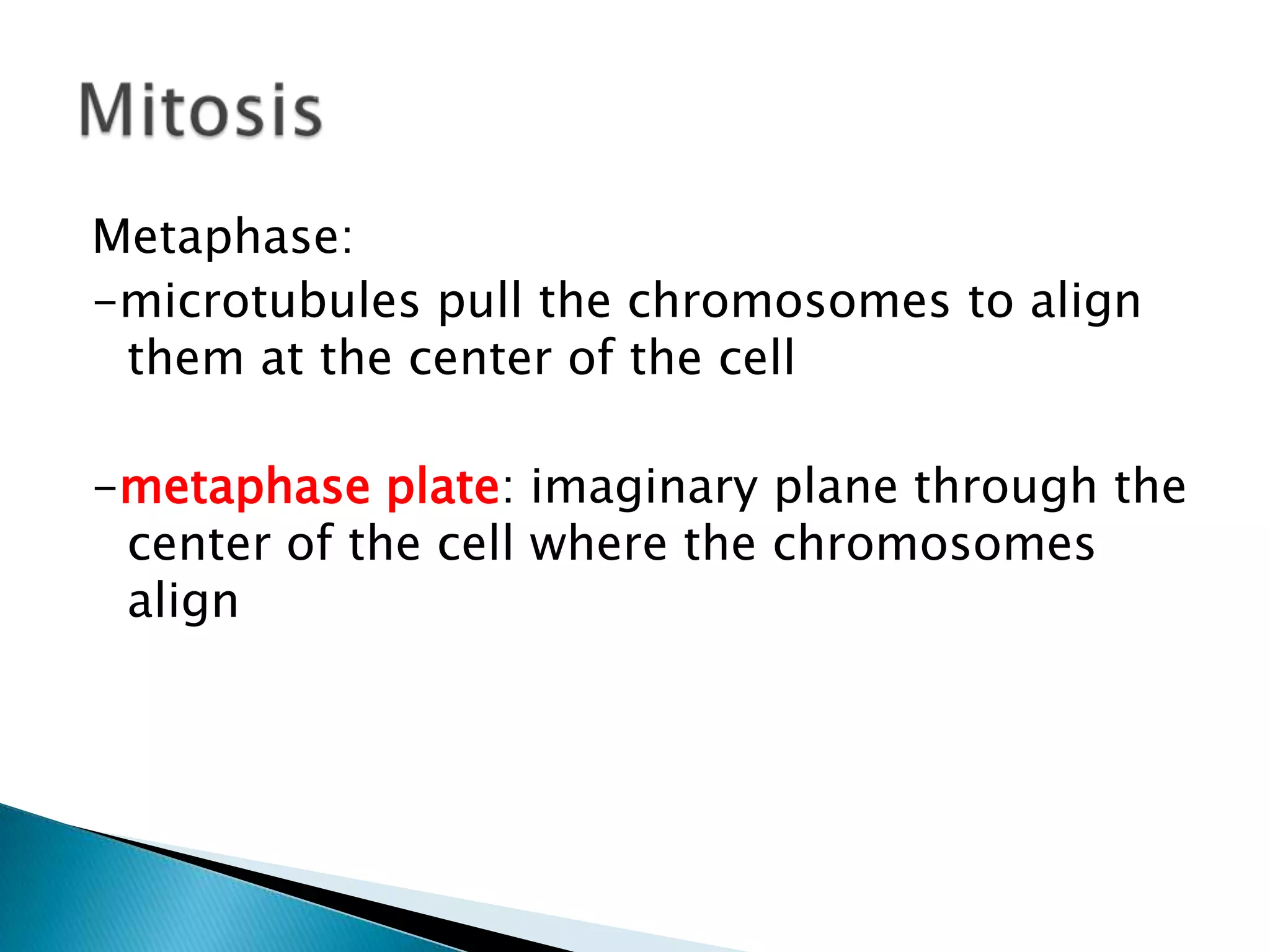 Life science grade 10 | PPTX