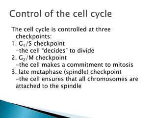 Life science grade 10 | PPTX