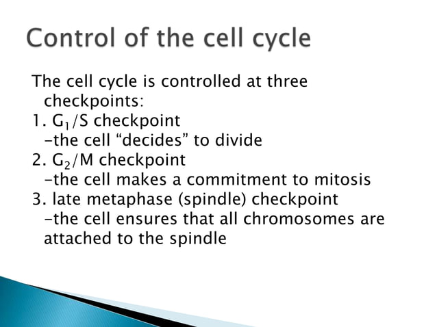 Life science grade 10 | PPTX