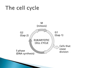 Life science grade 10 | PPTX