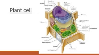 Life science grade 10 | PPTX