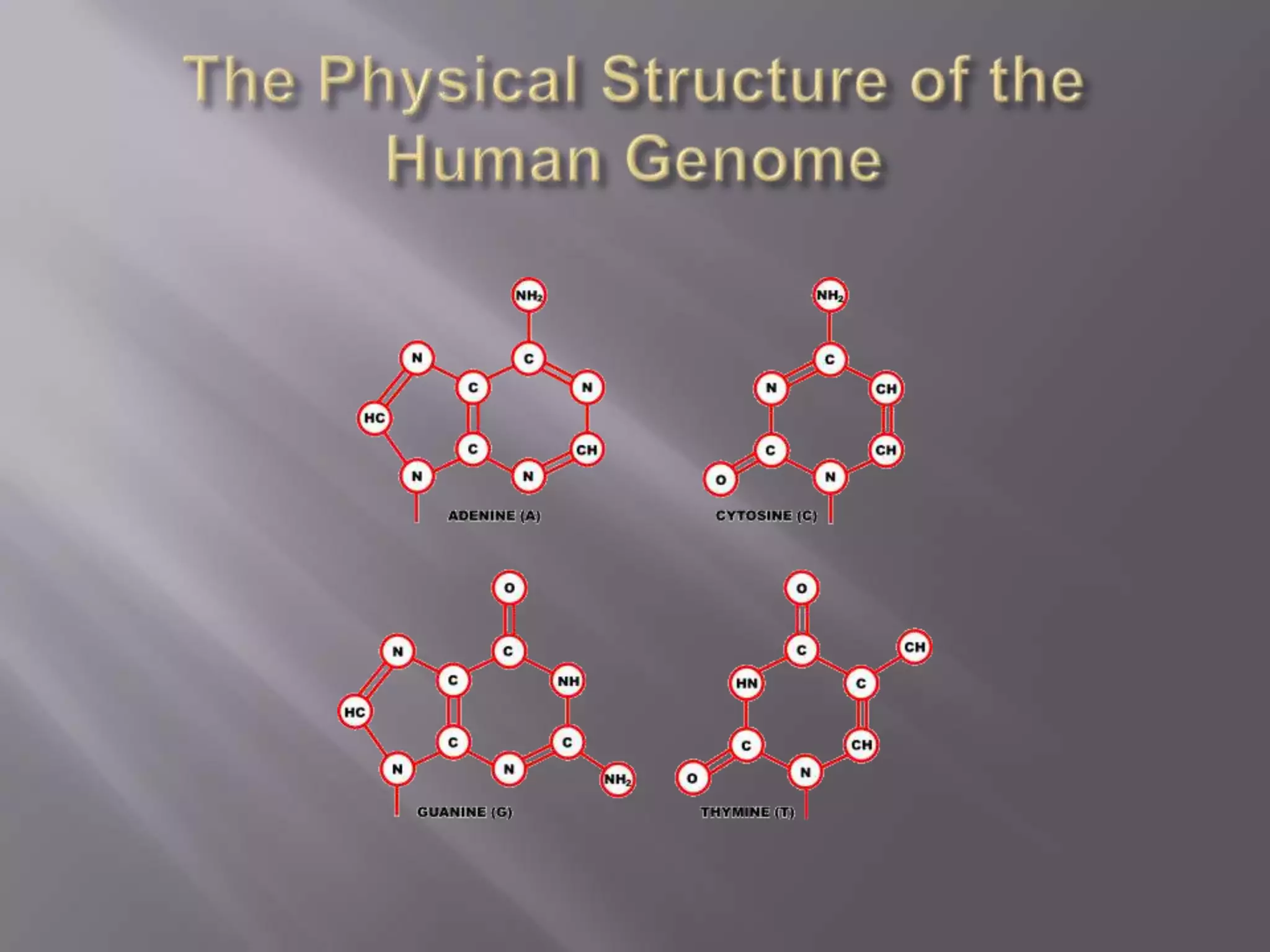 Life science grade 12 | PPTX
