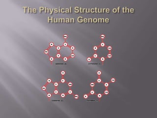 Life science grade 12 | PPTX