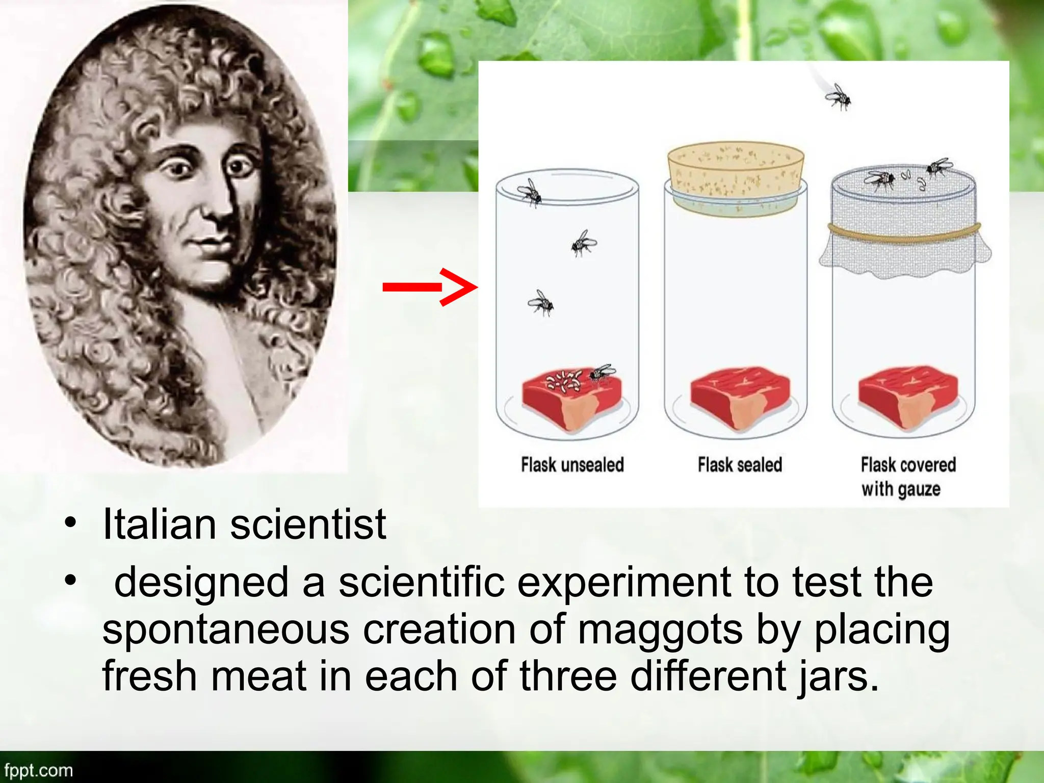 Life science introduction earth and life science.ppt | Biological ...