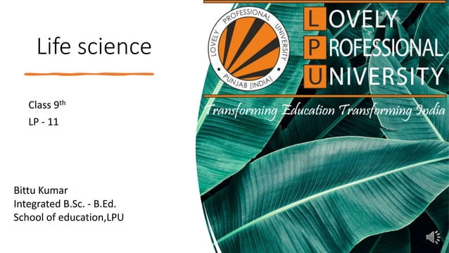 class 9th simple permanent tissue | PPTX