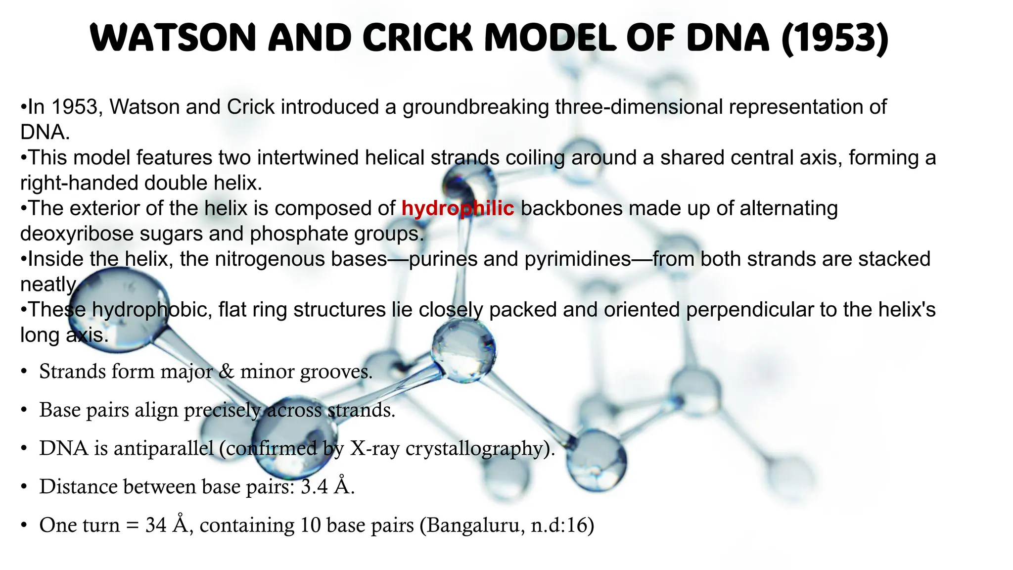 DNA (DEOXYRIBONUCLEIC ACID) AND RNA (RIBONUCLEIC ACID) | PDF