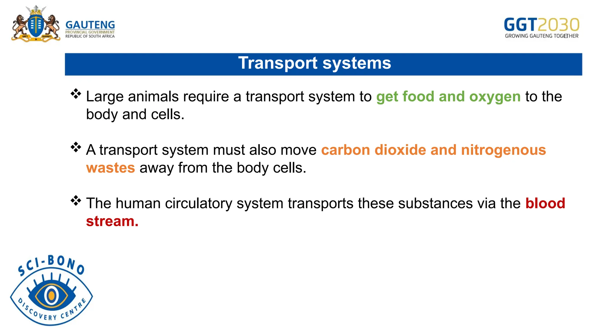 Life Sciences Gr.10 Lesson 54 Transport system Blood circulation system ...