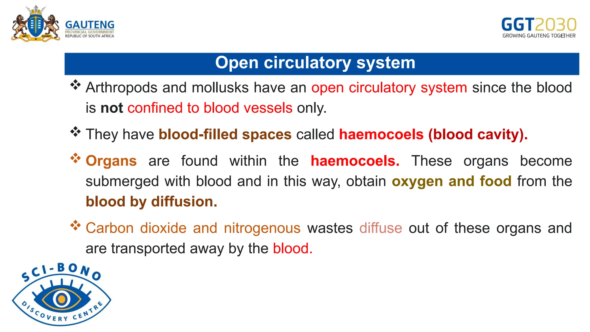 Life Sciences Gr.10 Lesson 54 Transport system Blood circulation system ...
