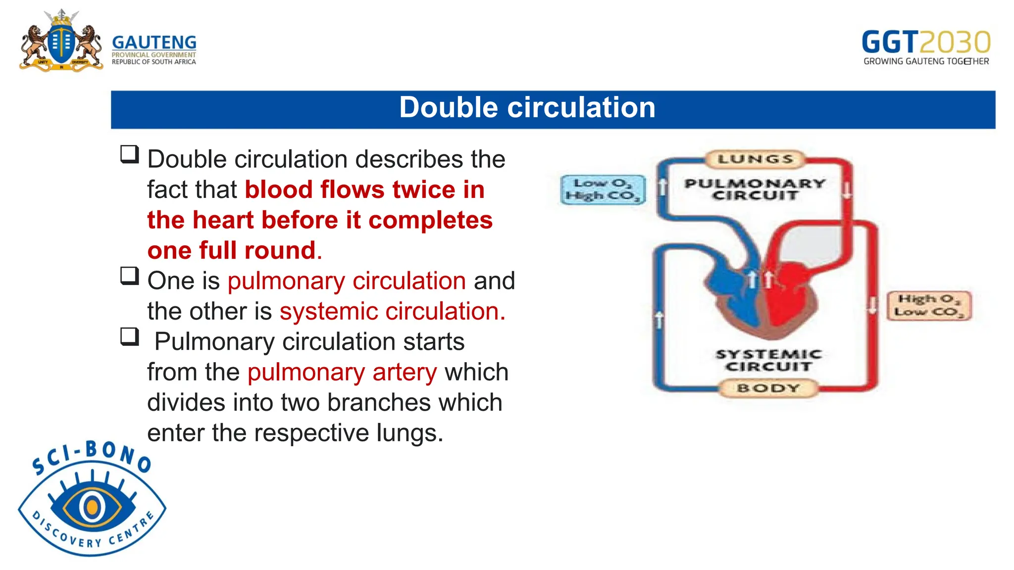Life Sciences Gr.10 Lesson 54 Transport system Blood circulation system ...