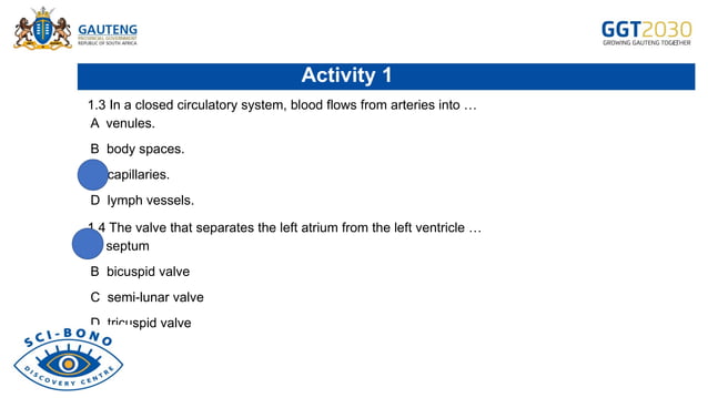 Life Sciences Gr.10 Lesson 54 Transport system Blood circulation system ...
